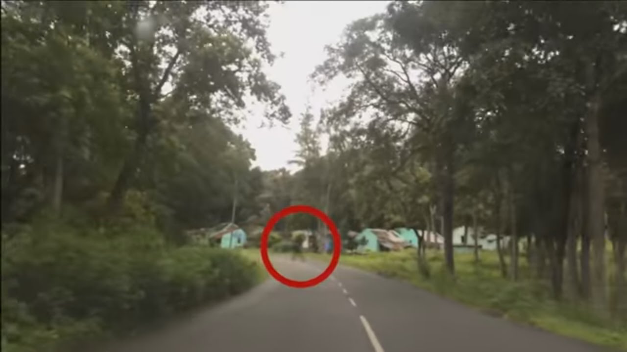 Real Ghost Videos | Ghost In Forest Caught On Camera | Haunted Road ...