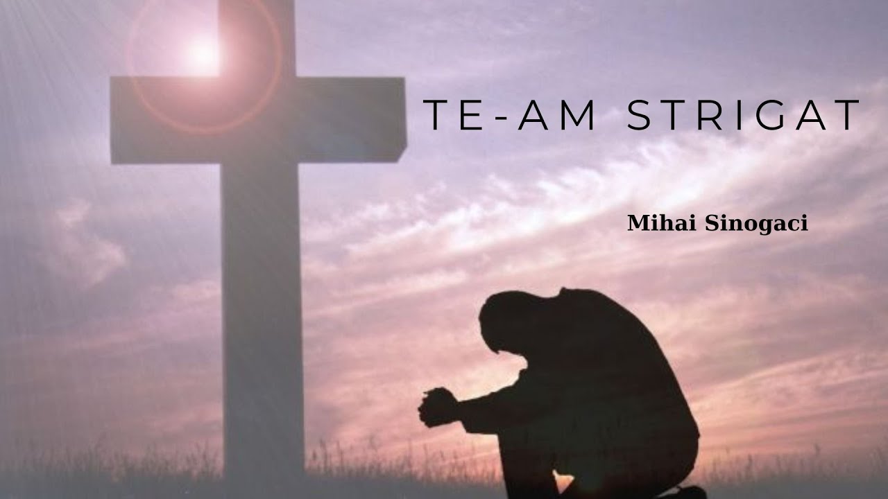 TE-AM STRIGAT - Mihai Sinogaci - YouTube