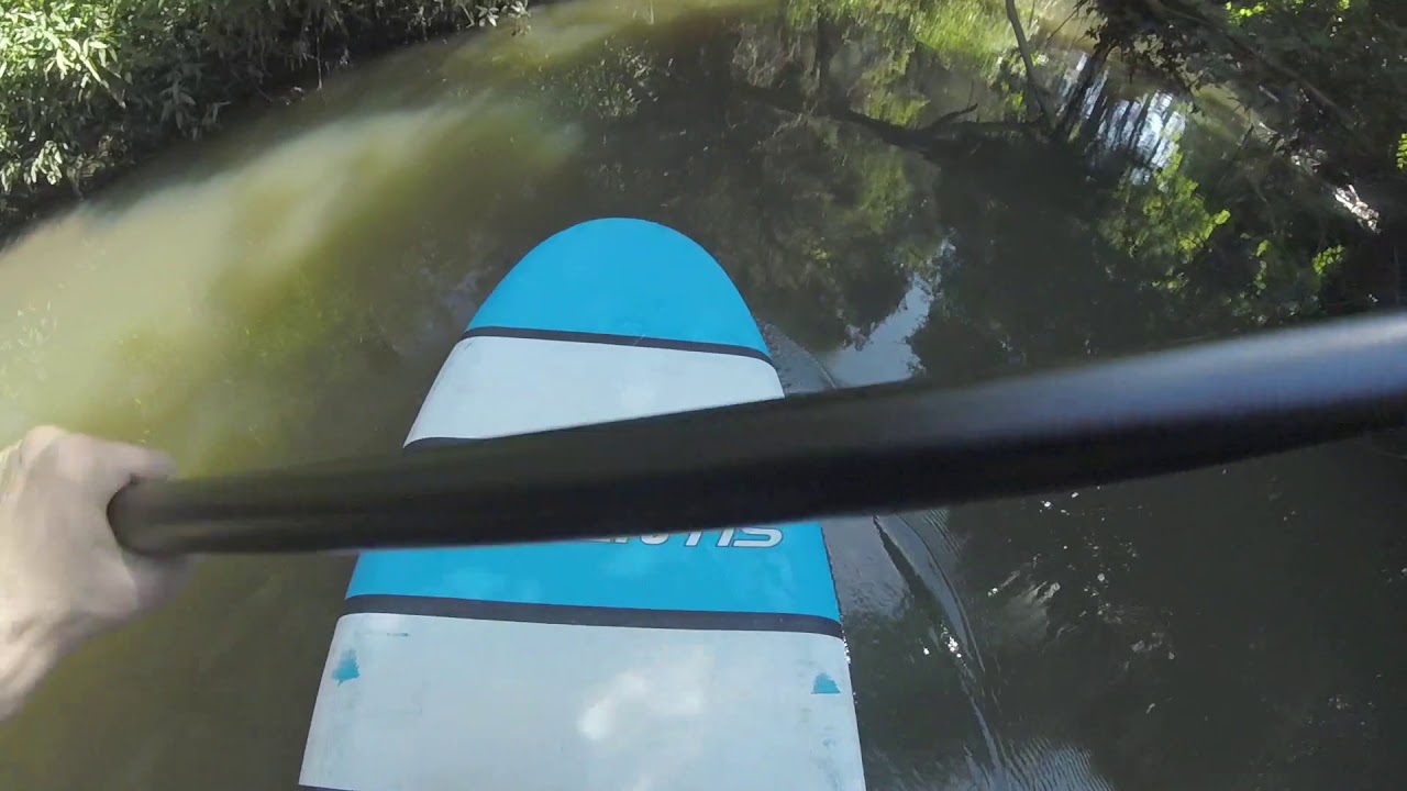 Exploring with Grant - Wolli Creek, Turrella to Coolibah Reserve - YouTube