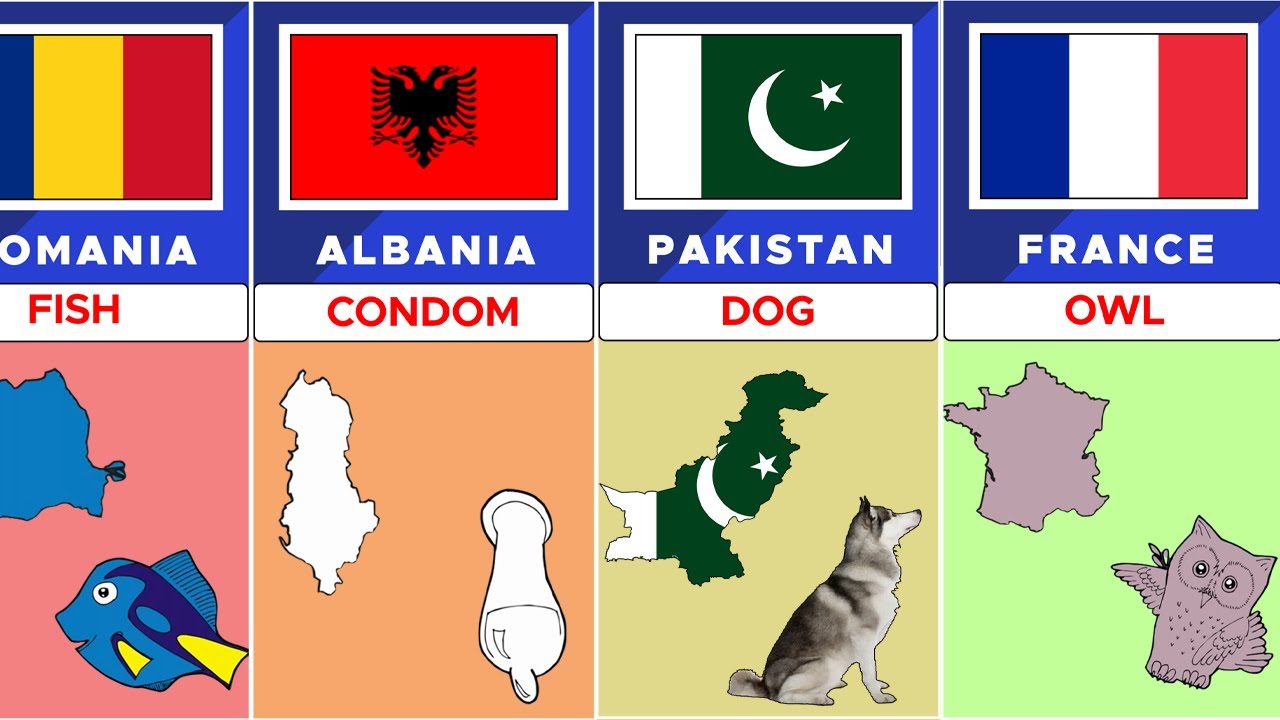 Countries Map That Look Like Things And Animals - YouTube