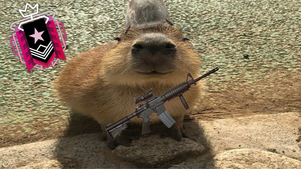 Grind to top 500 champ solo queue day 2 (Rainbow Six Siege) - YouTube