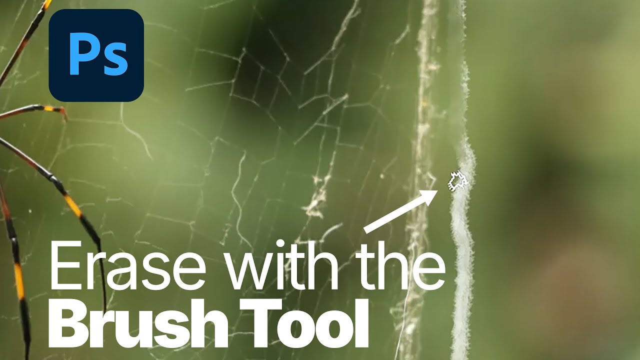 👍 MASTERY: How to Erase with the "Brush Tool" in Photoshop | Full Guide ...