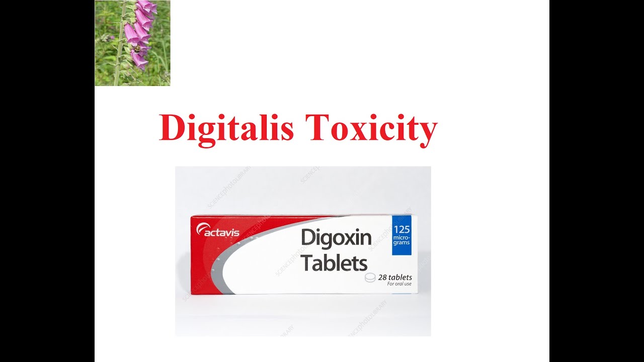 Digitalis Toxicity - YouTube