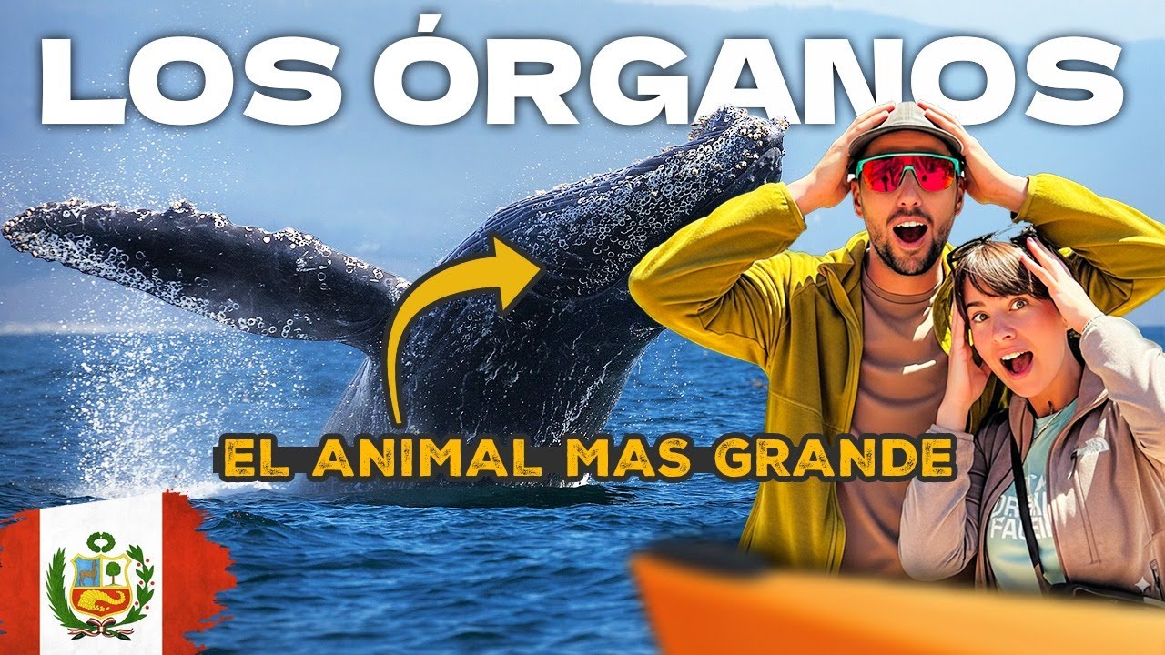 🫣QUE LOCURA DE LUGAR!! LOS ORGANOS 🇵🇪PERÚ.[TP 04 -EPI 0123] EL GRAN ...