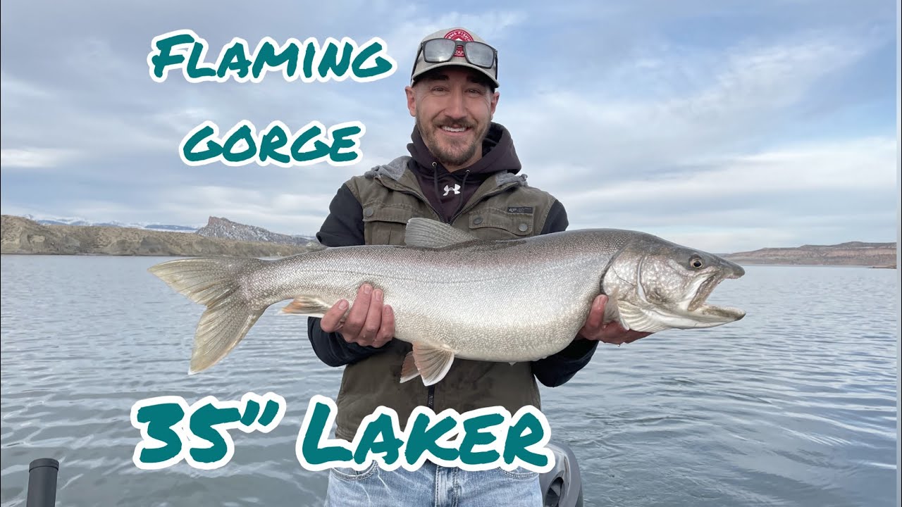 Flaming Gorge Fishing with Friends! - YouTube