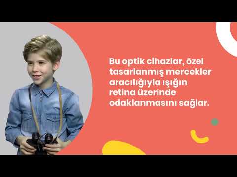 Ayna ve Mercekler: Görsel Dünyanın Yansımaları ve Odak Noktaları