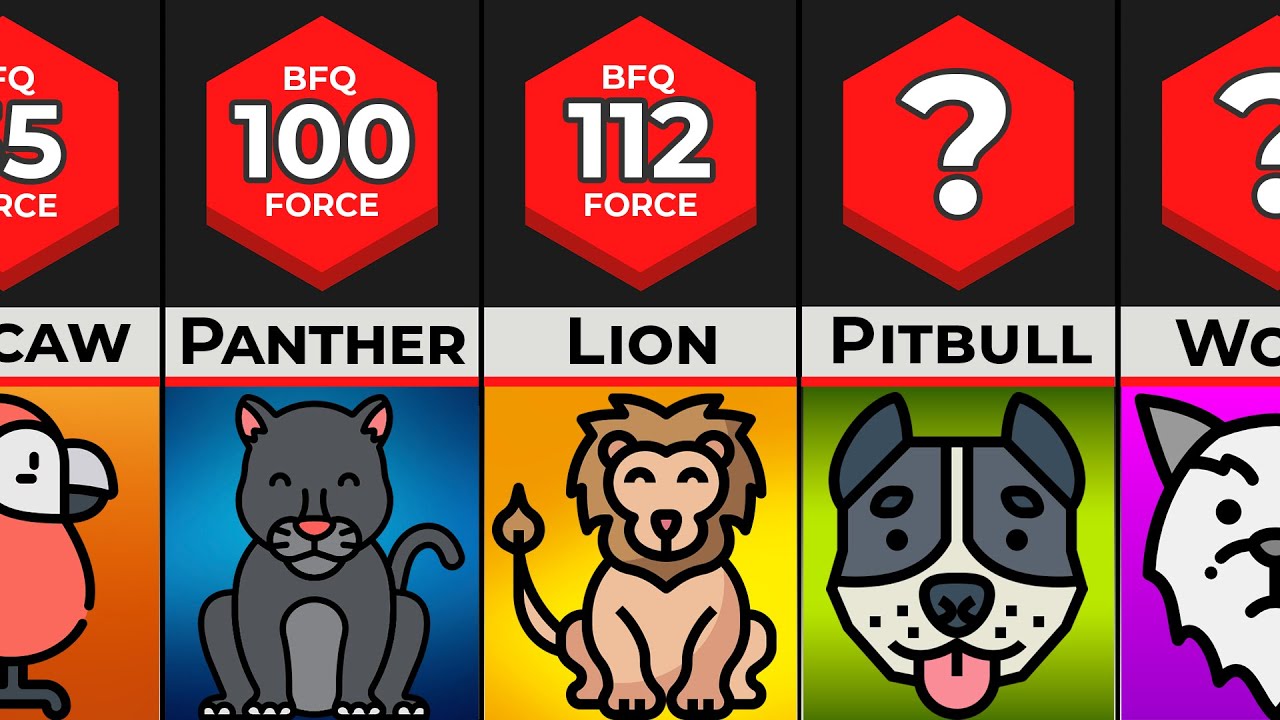 Comparison: Animal Bite Force - YouTube