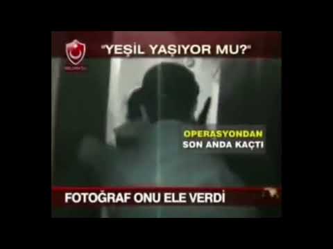 Mahmut Yıldırım Kod: Yeşil'in Yaşama İhtimali