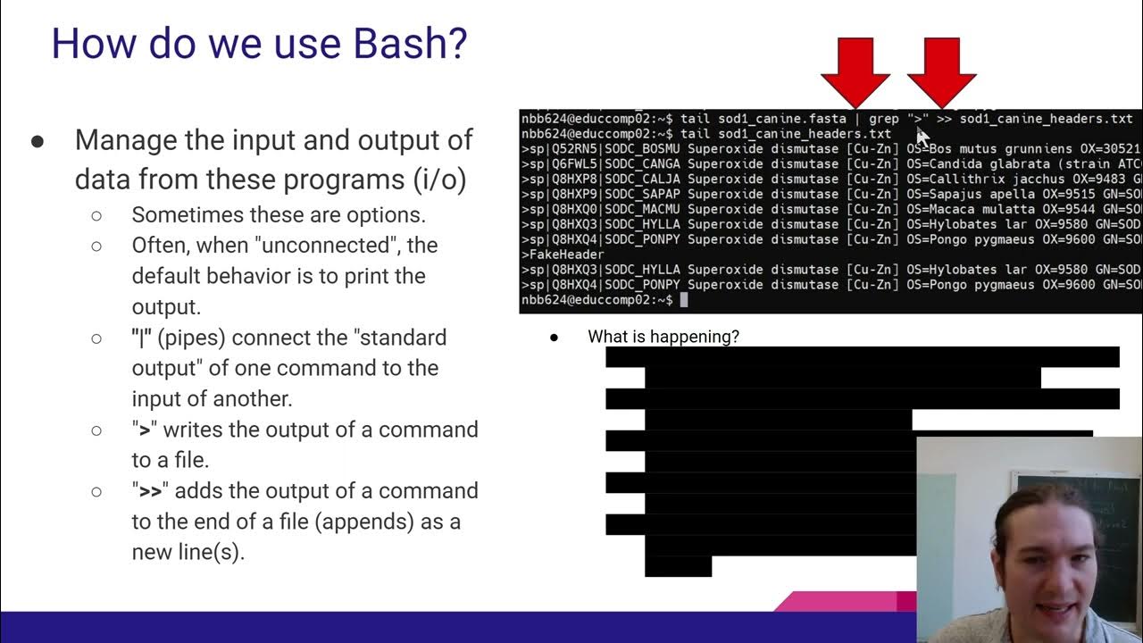 Linux-01: Shell interactions on a Linux-based operating system using ...