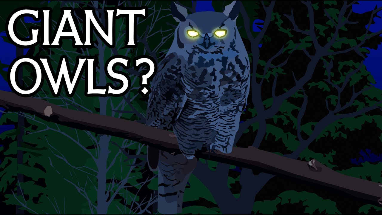 [New 2023 Cryptozoology Documentary] Giant Owls in Canada? - YouTube