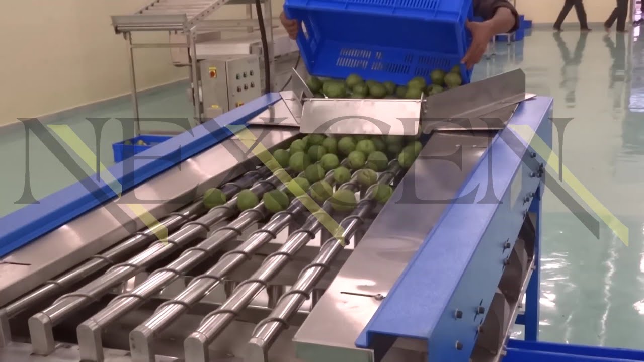 Round Fruits & Vegetable Grading Machine | Food Processing Solutions ...