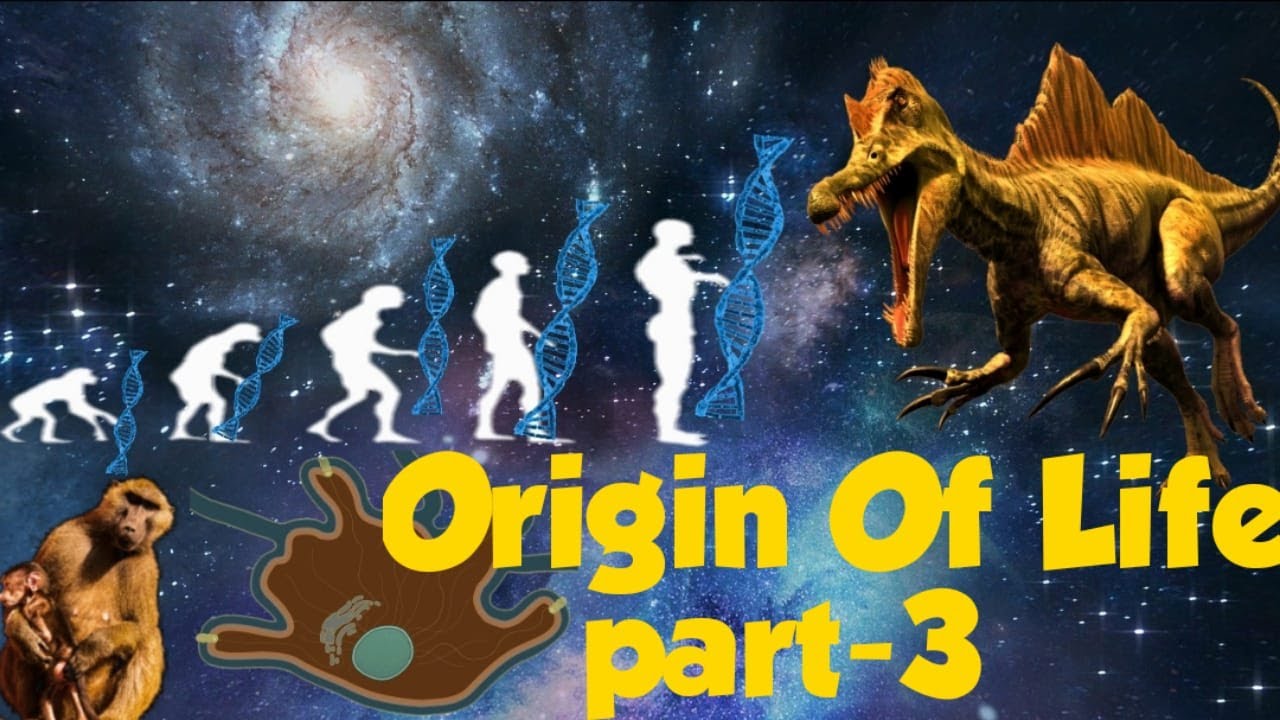 How Life Created On Earth | Origin Of Life Part-3 - YouTube