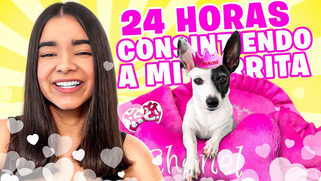 Consintiendo A Mi Perro Por 24 Horas 🐶🩷 Youtube