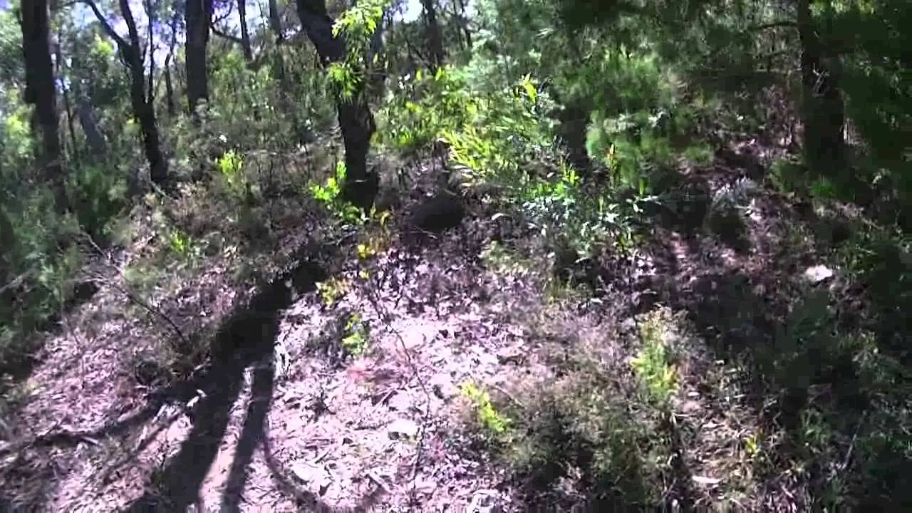 Belanglo State Forest 24th March 2013 - YouTube