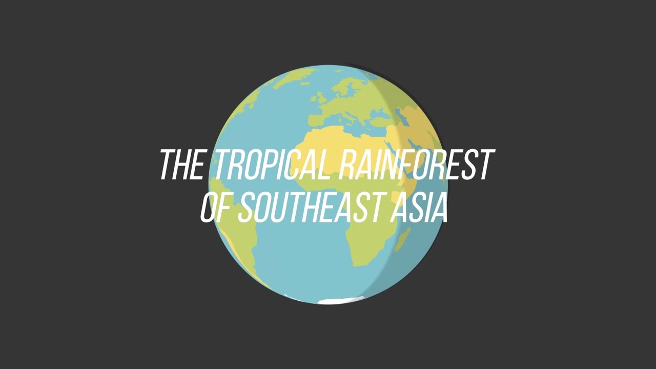 TRCRC "What We Do" - YouTube