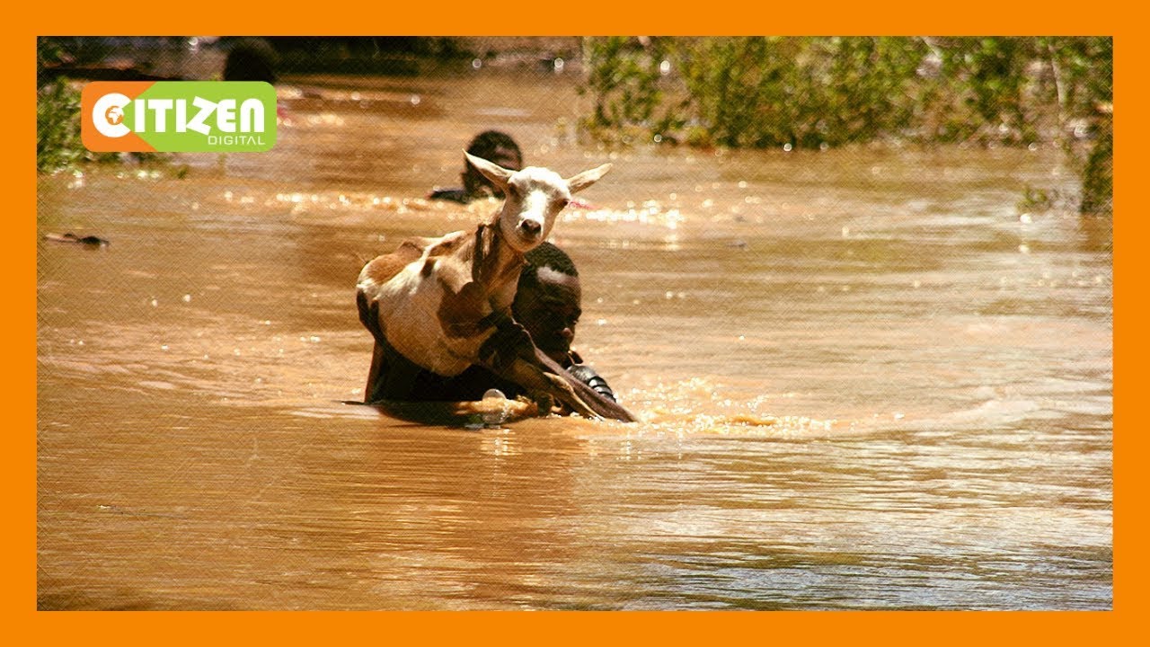 8 people killed by floods in Turkana and Wajir - YouTube