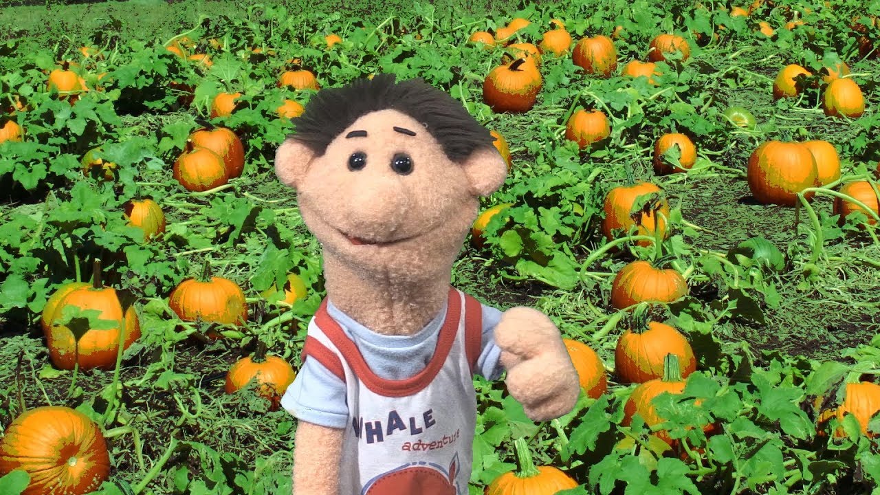 Halloween Costumes - Timmy's Friends Dress Up For Halloween - YouTube