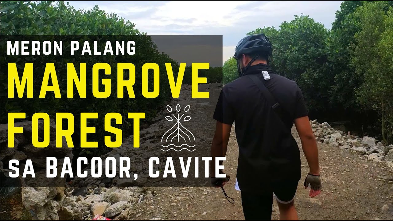MERON PALA MANGROVE FOREST SA BACOOR CAVITE??! | INOH - YouTube