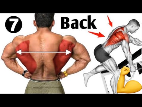 7 BEST BACK WORKOUT for BEGINNERS - YouTube