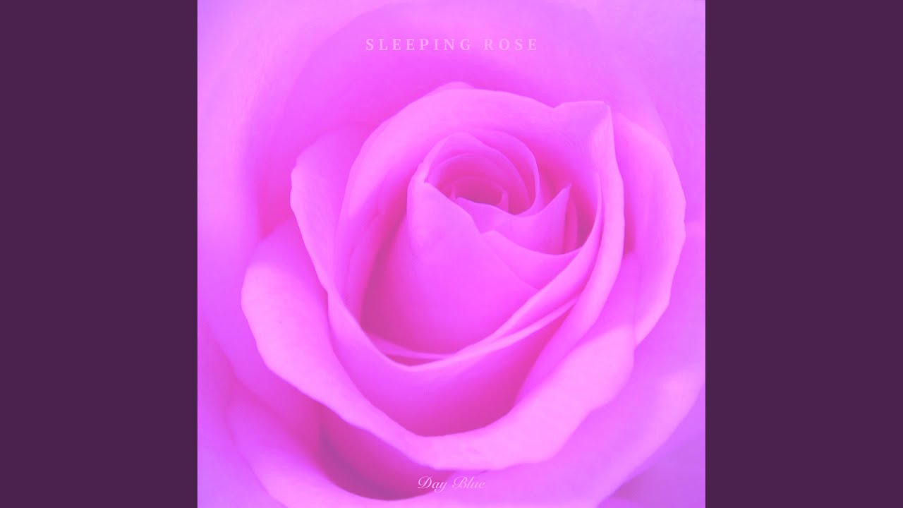Sleeping Rose - YouTube