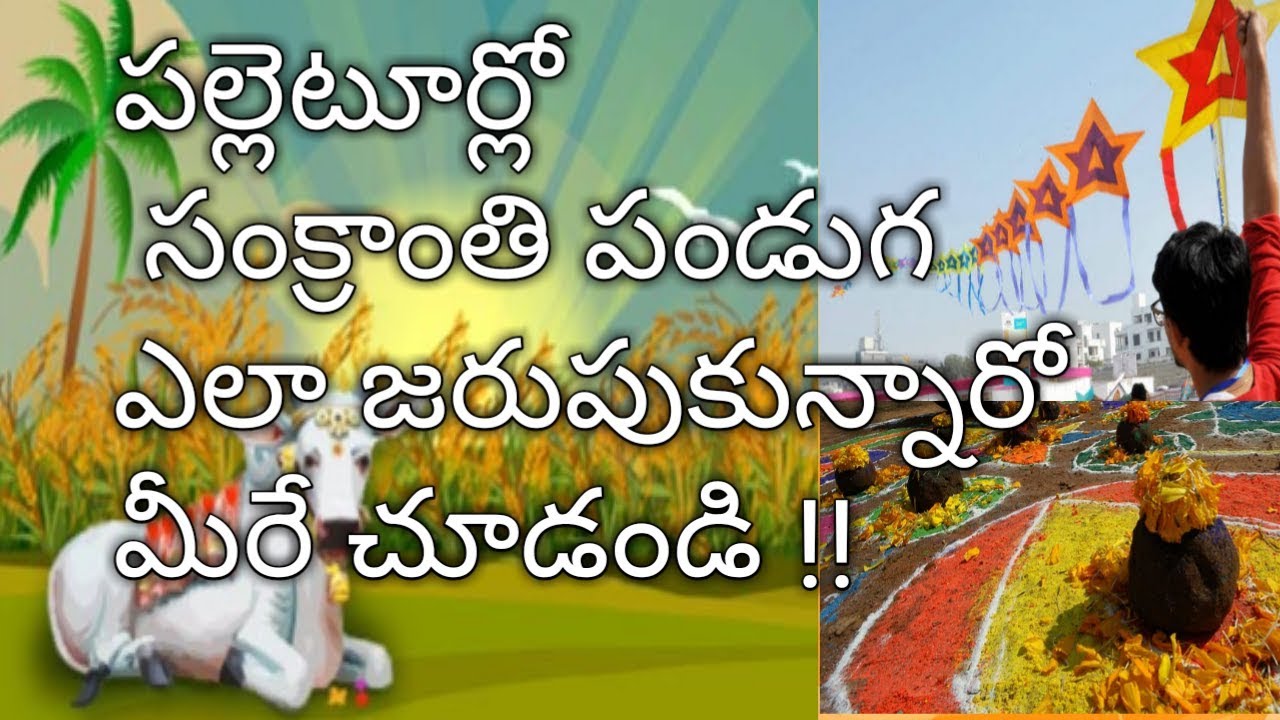Sankranthi Festival Celebrations in Village, Sankranthi Panduga ...