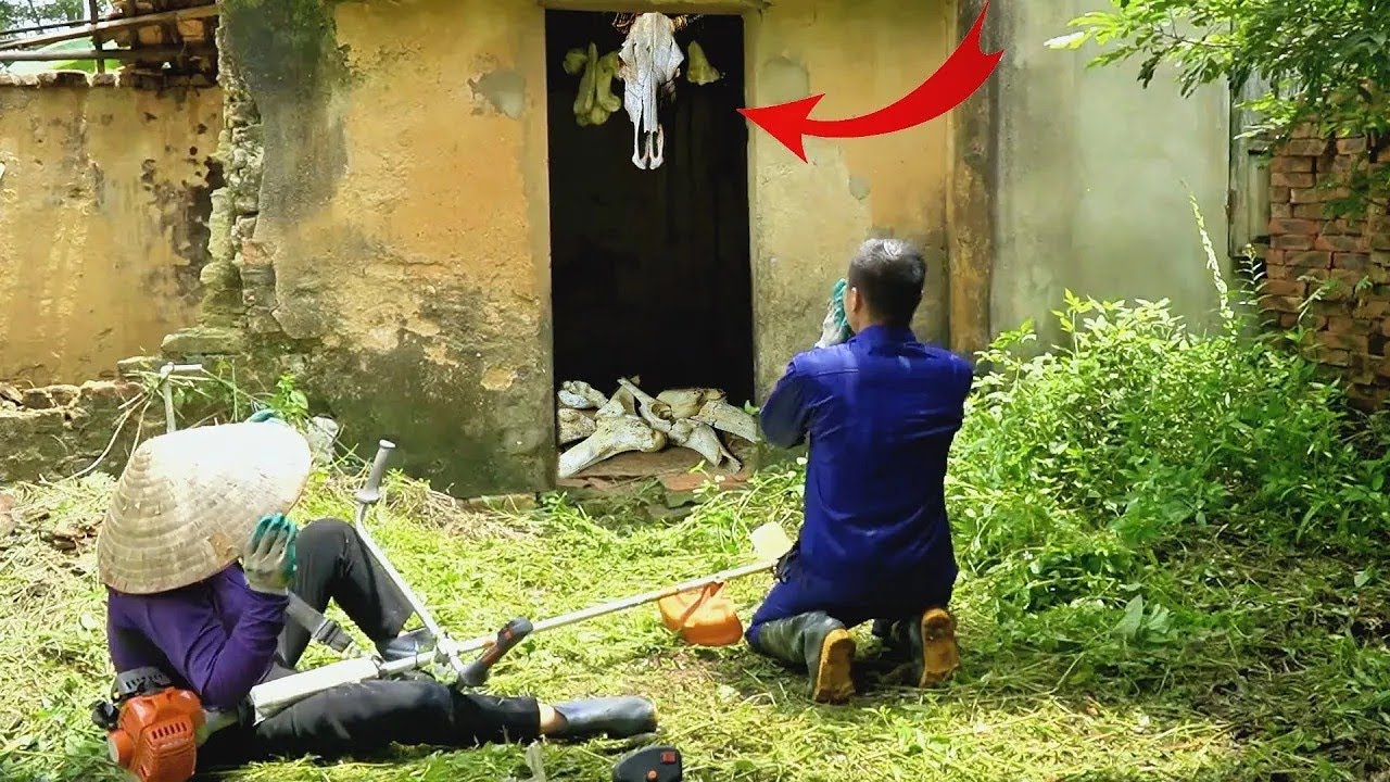Horrifying! Strange Skeleton Found While Cleaning Up A Long-Abandoned ...