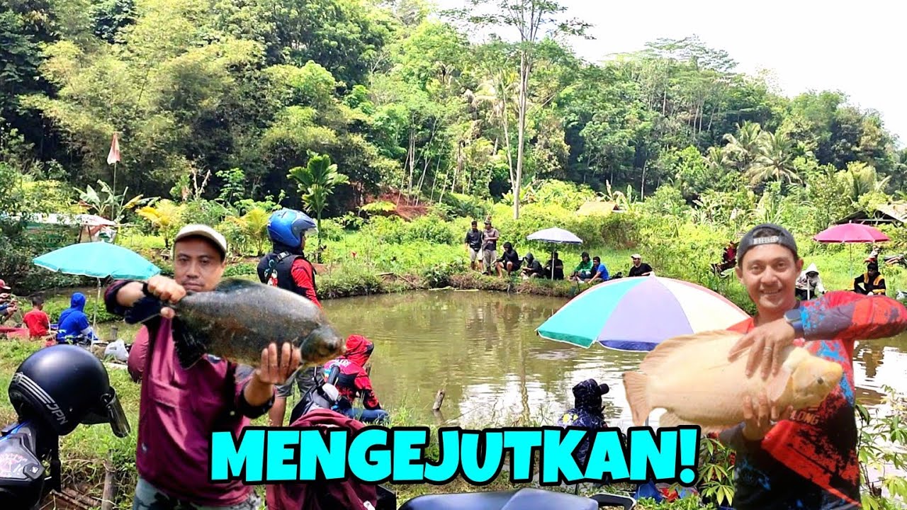 Mancing borongan 2,7 juta ternyata mengejutkan !! banyak babonnya - YouTube