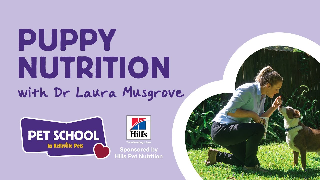 Puppy Nutrition with Dr Laura Musgrove - YouTube