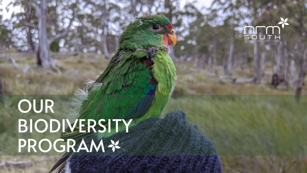 NRM South's Biodiversity Program - YouTube