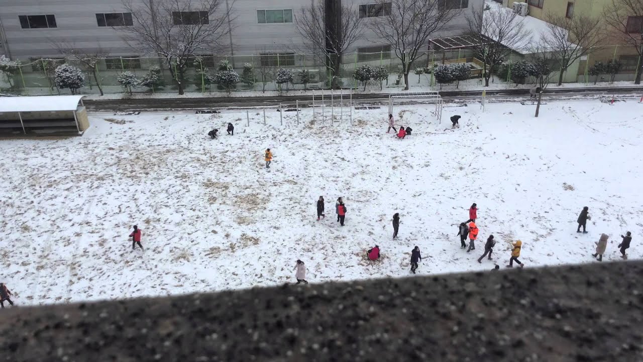 The Busan Snow Day - YouTube