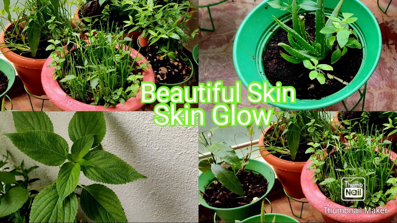 Only one Tips for Naturally Glowing Skin | Healthy and Beautiful Skin ...