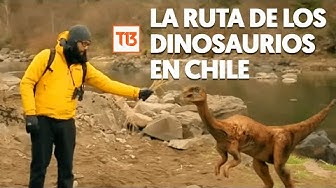 Dinosaurios recargados, una historia resumida para niños y adultos - YouTube