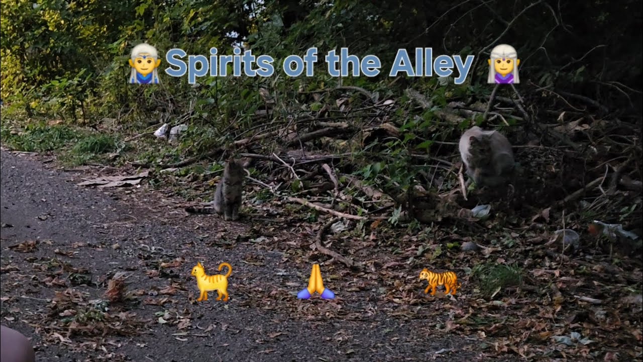 🎭Dance of the Alley Sprites🧚‍♀️ - YouTube