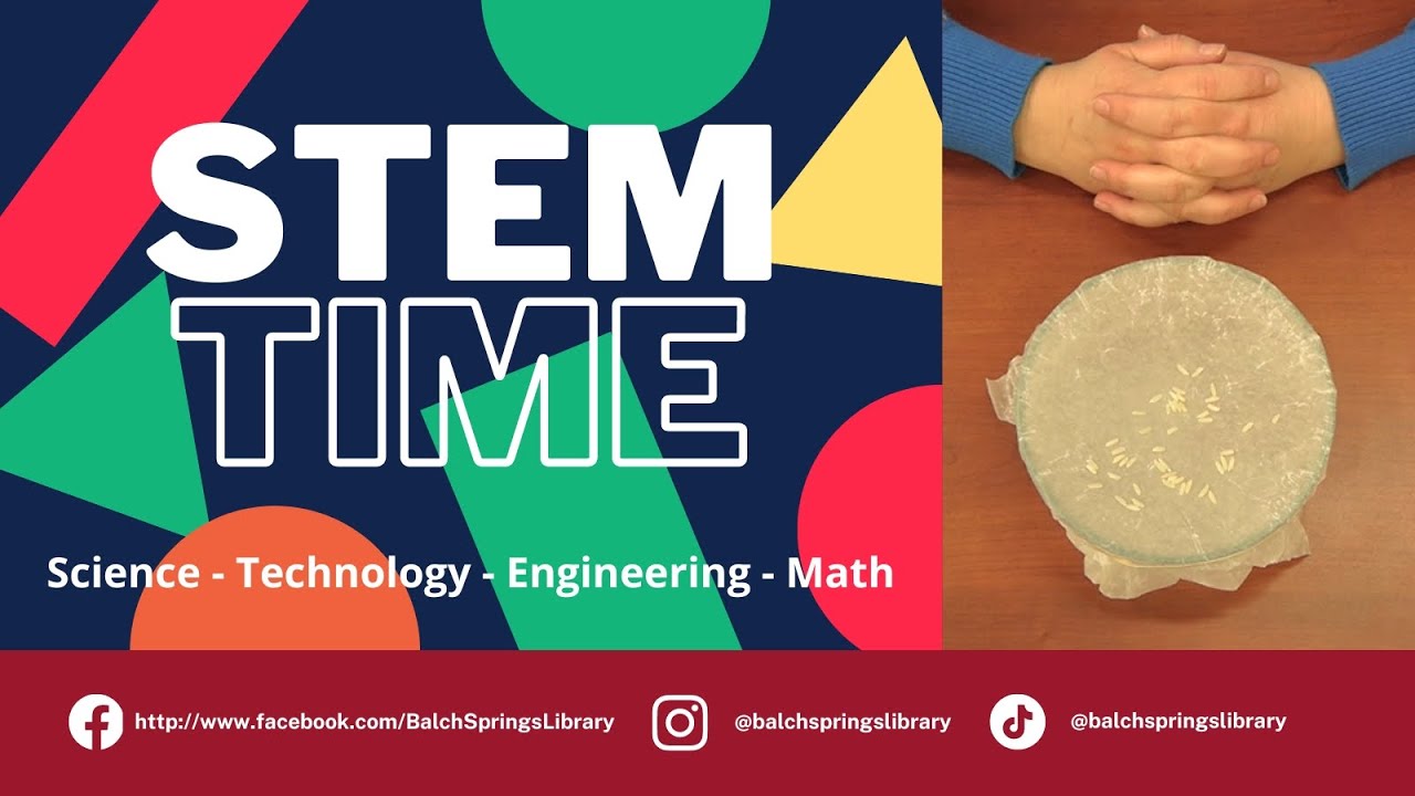 STEM - Dancing Rice - YouTube