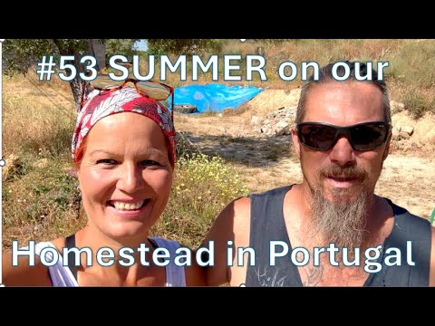 #53 SUMMER on our HOMESTEAD in Central Portugal - YouTube
