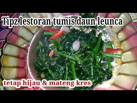 Resep tumis daun lumay / leunca khas sumatra masakan kampung ternikmat ...