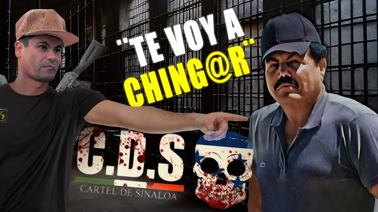 ¡CHAPOS vs MAYO! El DÍA que el CHAPO GUZMÁN declaró la GUERRA y AMENAZÓ ...