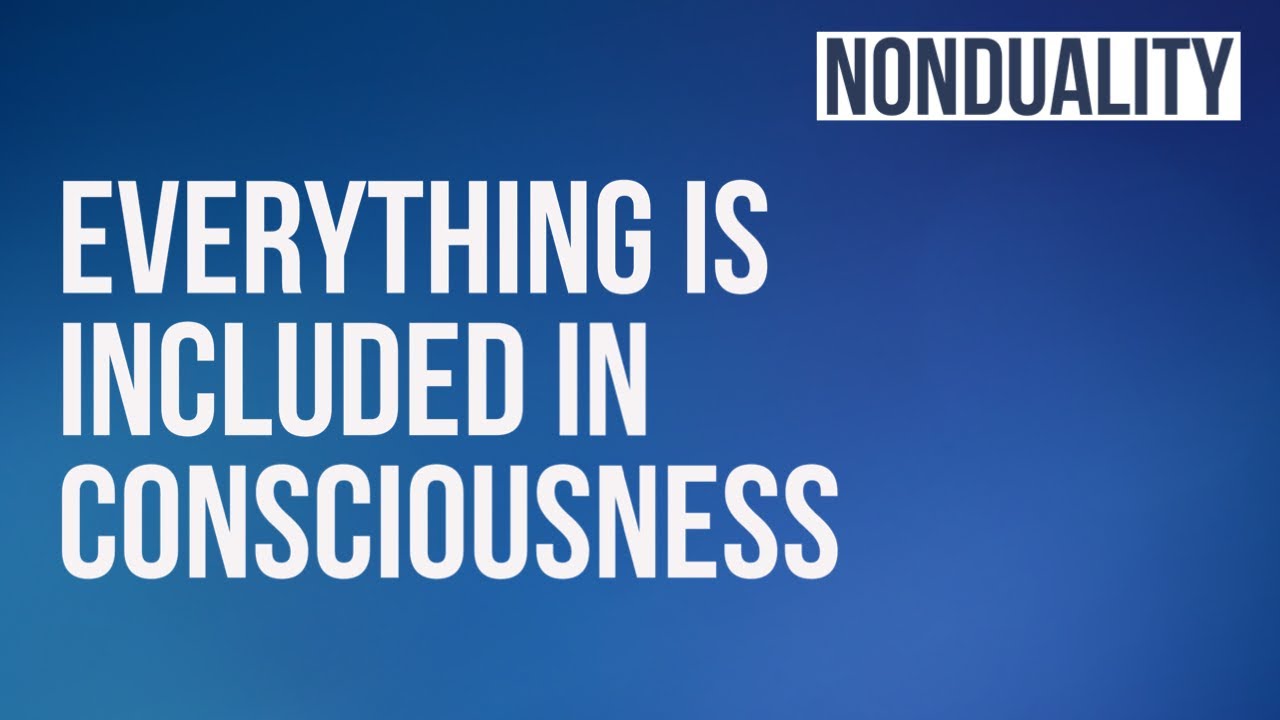 Dr Daniel H Shapiro - Everything is Included in Consciousness - YouTube