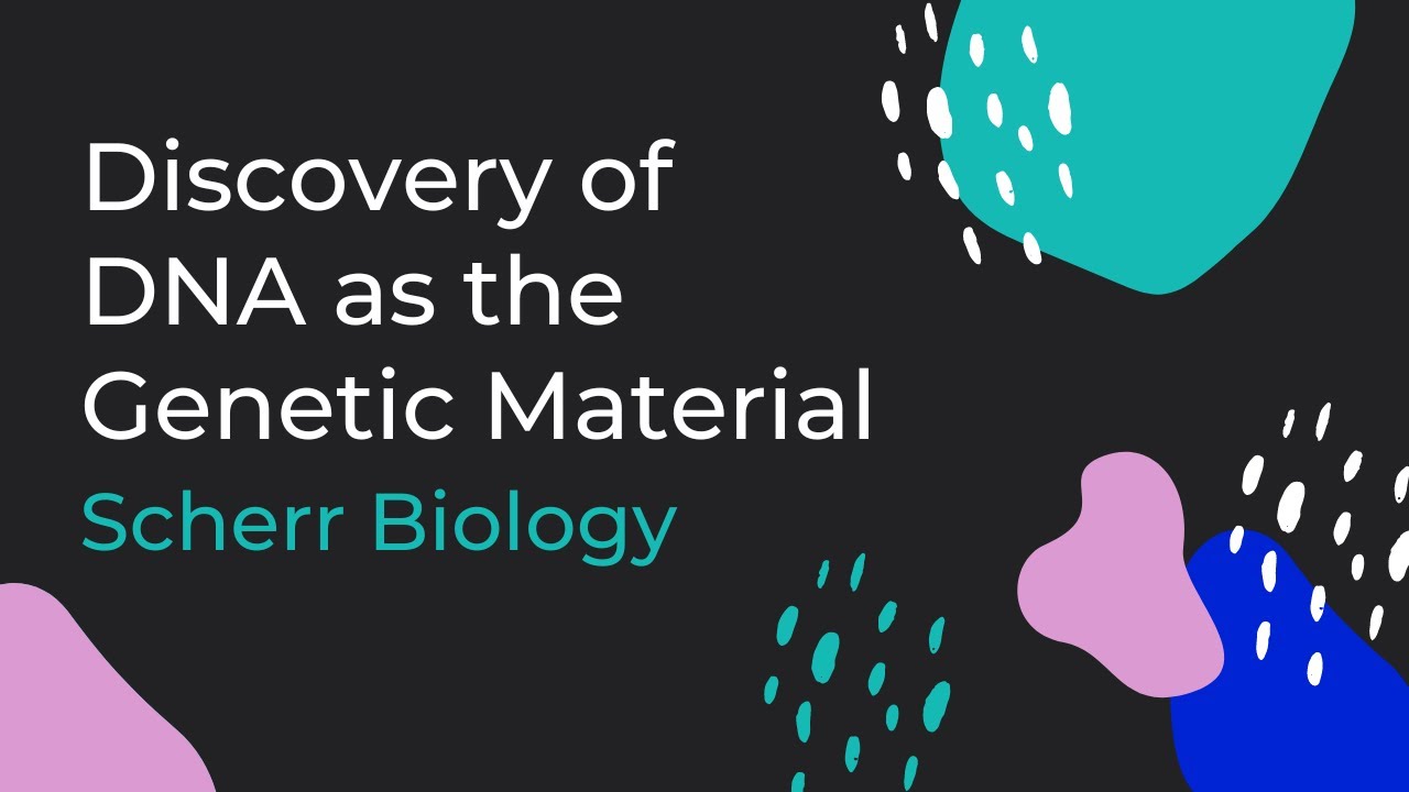 Discovery of DNA as the genetic material - YouTube
