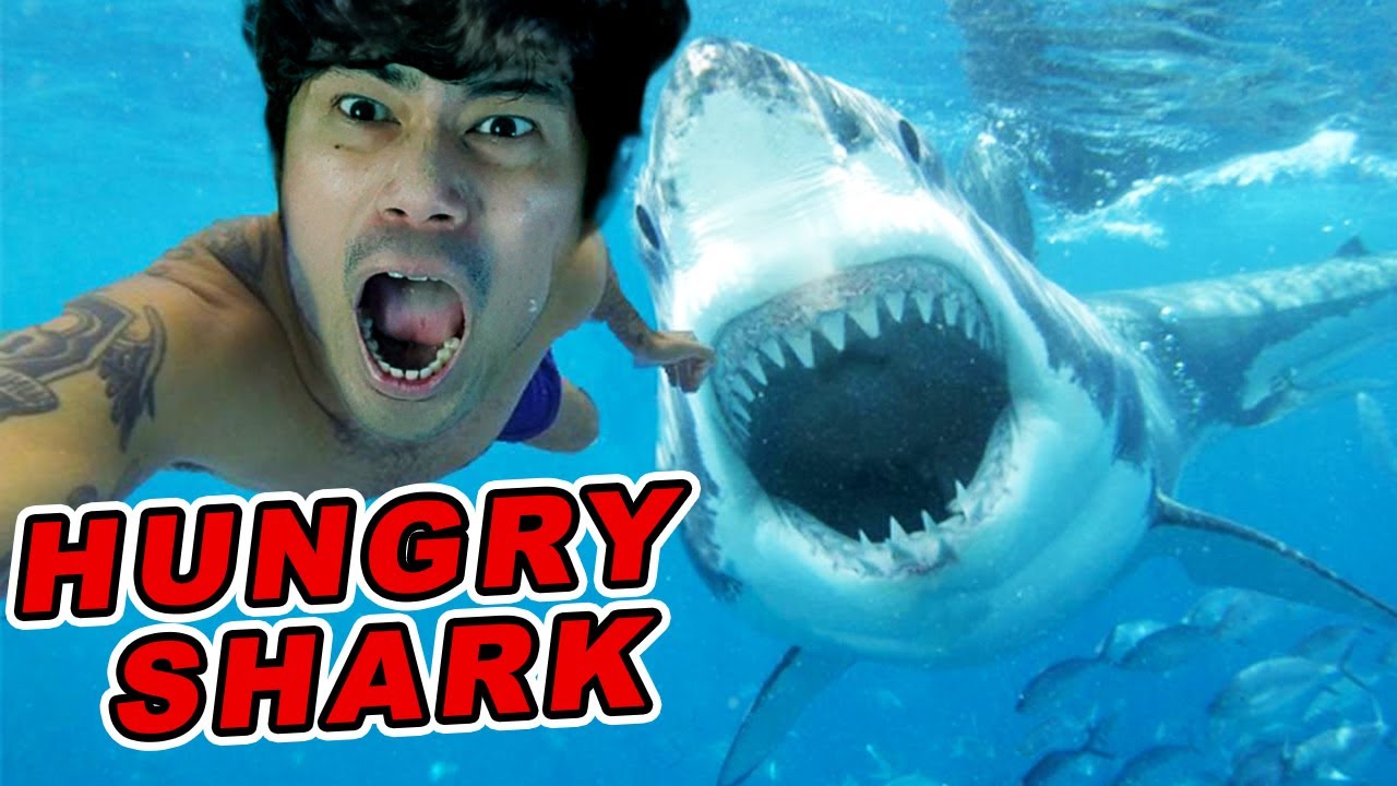 SWIMMING SA DAGAT NA MAY PATING! Hungry Shark Evolution - YouTube