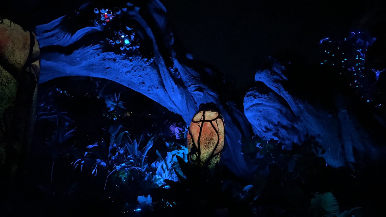 World of Avatar at Night - YouTube