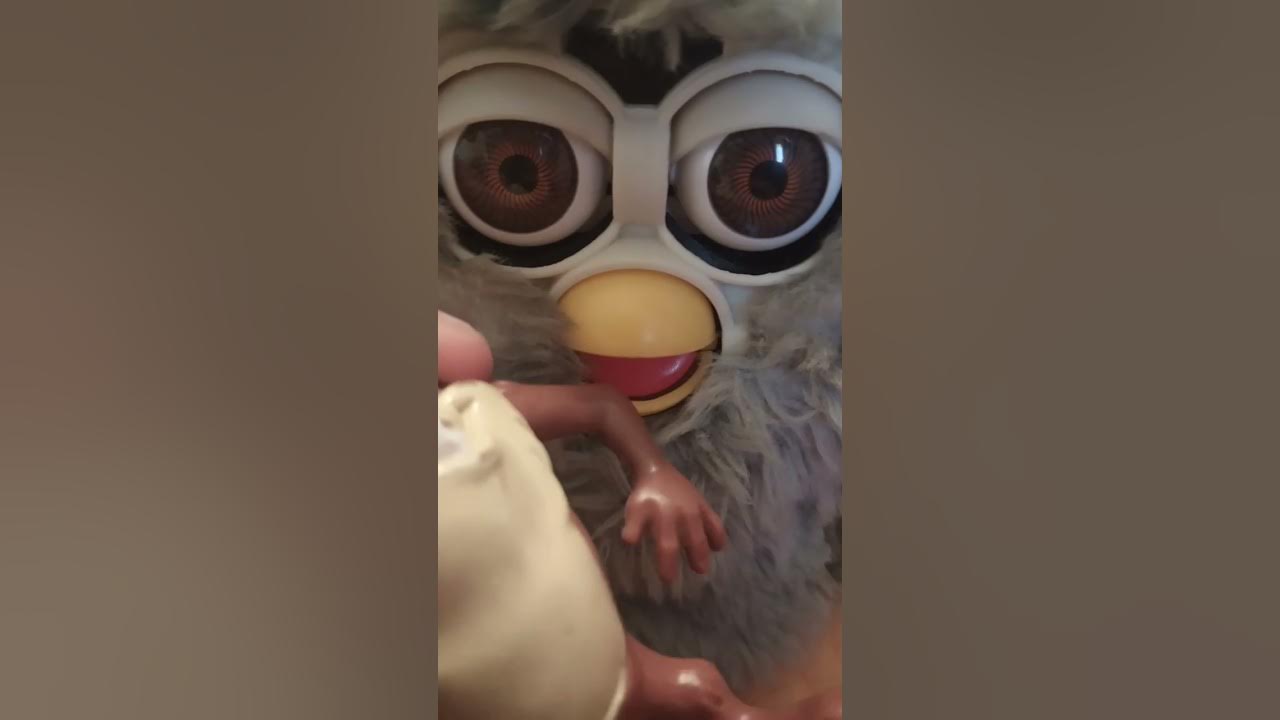 Furby eats the Tasmanian Devil real not fake!1!1!1! 😱😱😱😱🔥🔥🔥💯💯💯💯🐎🐎🐎🗣️🗣️🗣️🥶🥶🥶🥶‼️‼️‼️ - YouTube