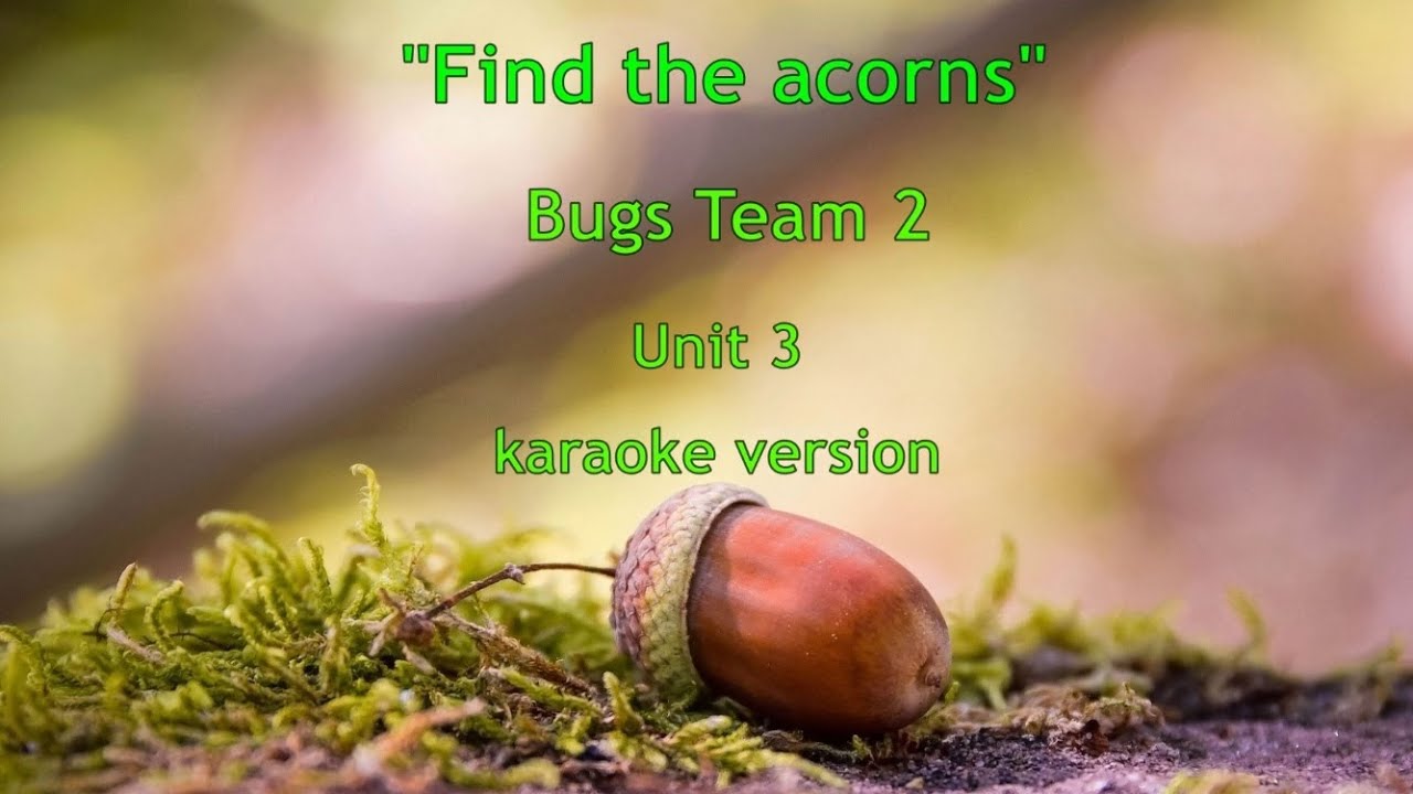"Find the acorns" song, karaoke version, Bugs Team 2, unit 3. - YouTube