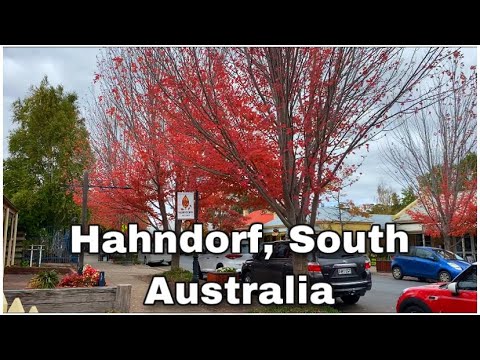 PUMUNTA SA HAHNDORF ANG GANDA NG AUTUMN TREES🍂🍁 - YouTube