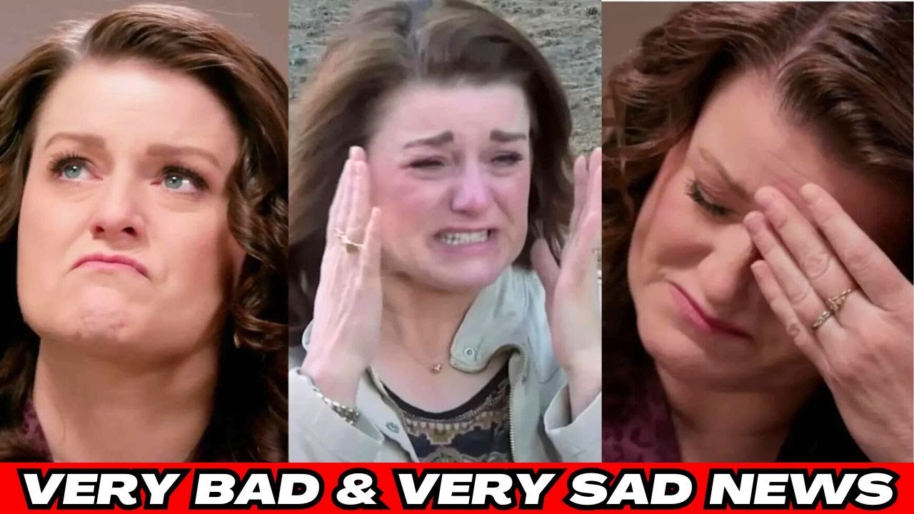 Heartbreaking News: Is Robyn Brown the TRUE Villain of Sister Wives ...