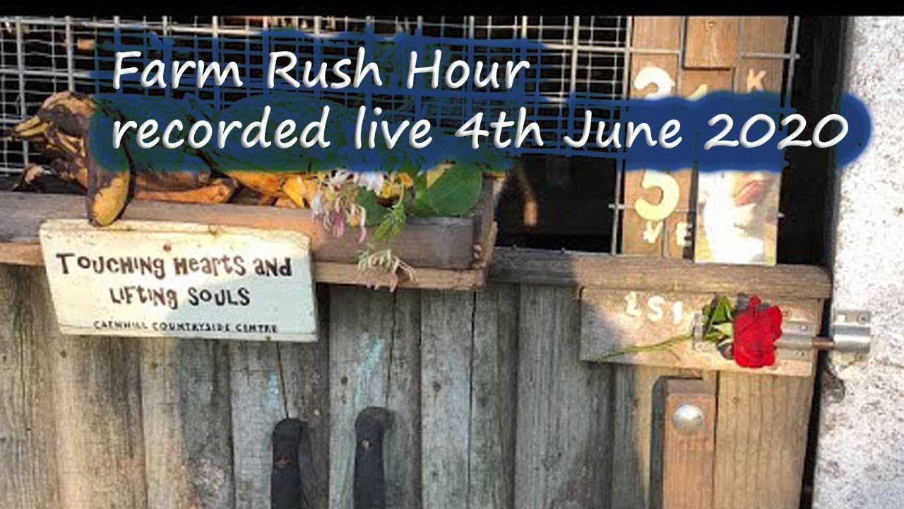 Thursday rush hour live - YouTube