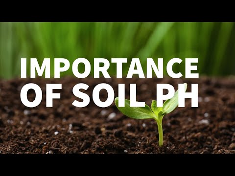 IMPORTANCE OF SOIL PH - YouTube