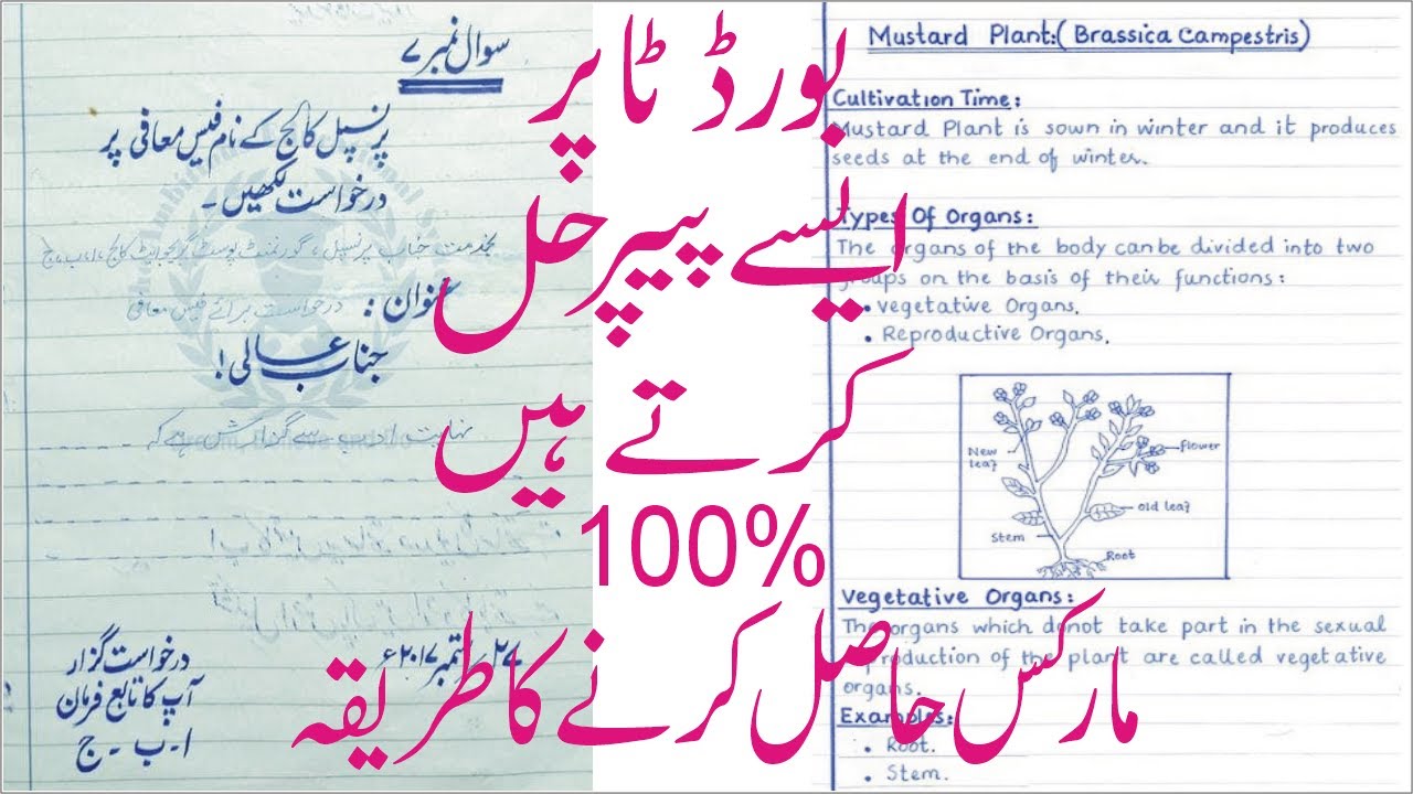 how to attempt board paper to get 100% Marks || paper presentation ...