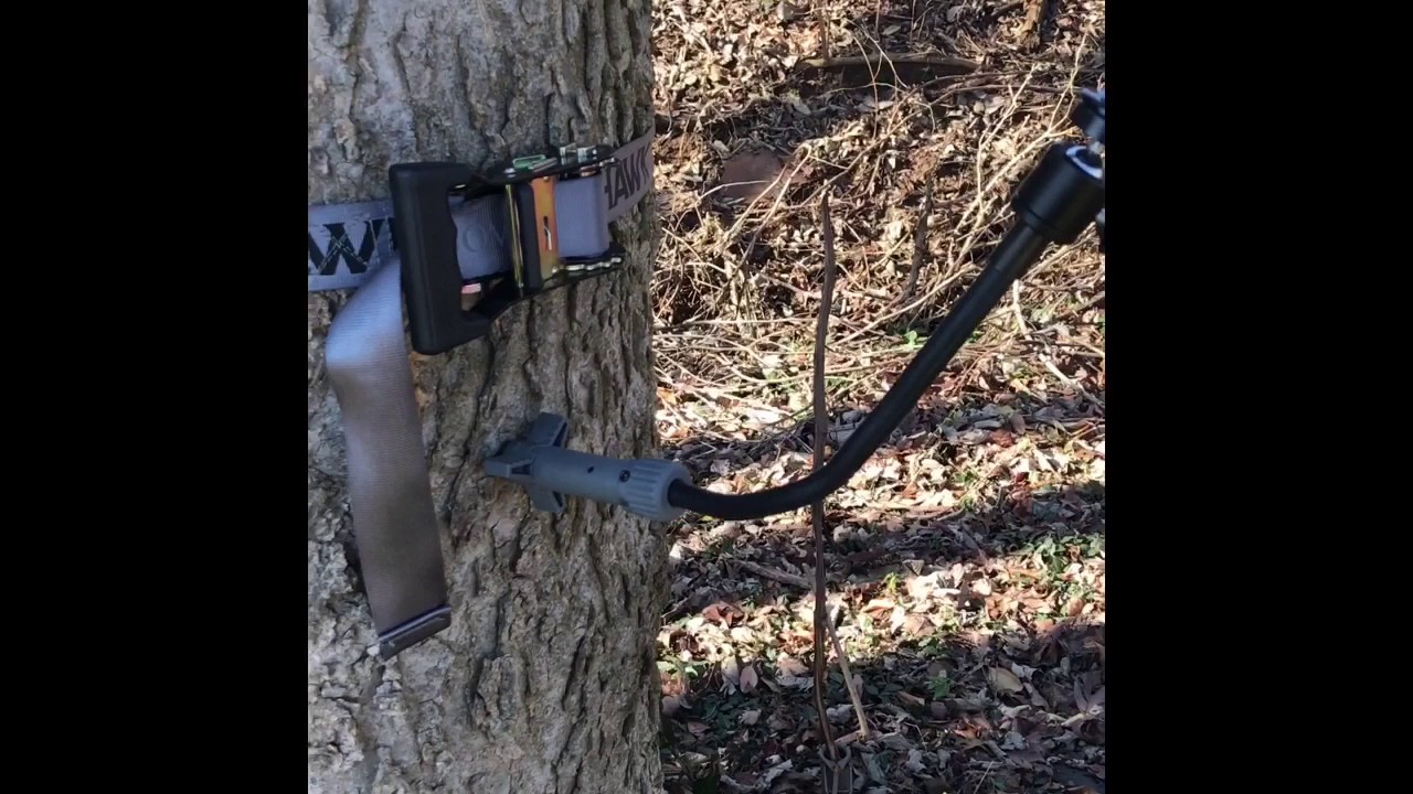 Hawk Camera arms reveiw - YouTube