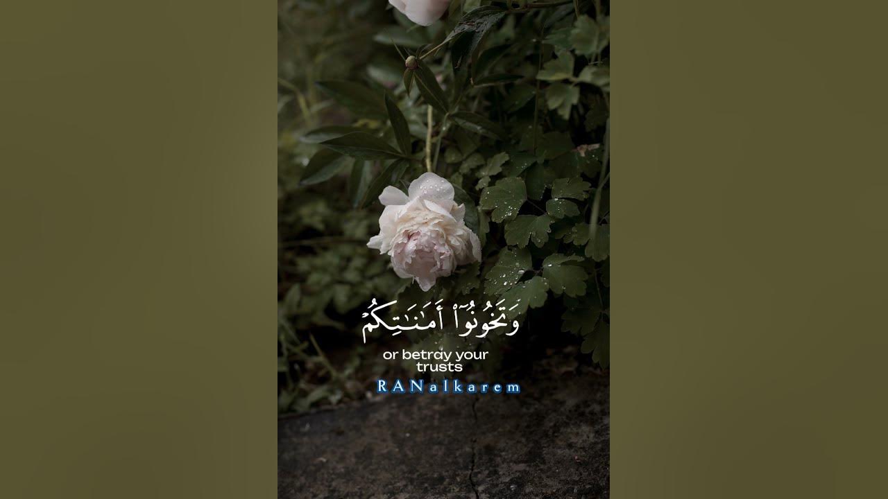 { يا ايها الذين امنوا لا تخونوا الله والرسول وتخونوا اماناتكم } تلاوة